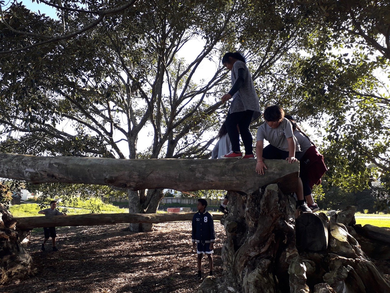 Māra Hūpara – ancient innovation in play, learning and exercise ...
