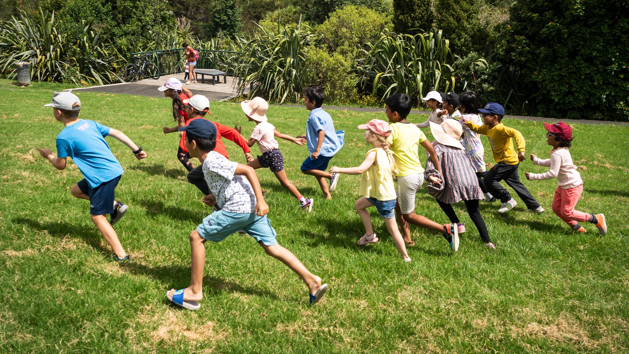 Summer Fun in the Park 2026 - OurAuckland