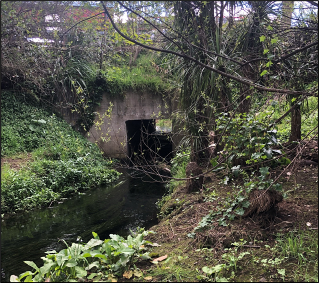New culvert will super-size flood protection - OurAuckland