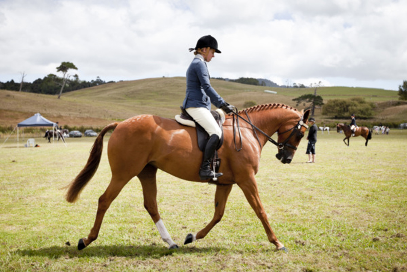 North Rodney Unitary Council proposed - OurAuckland