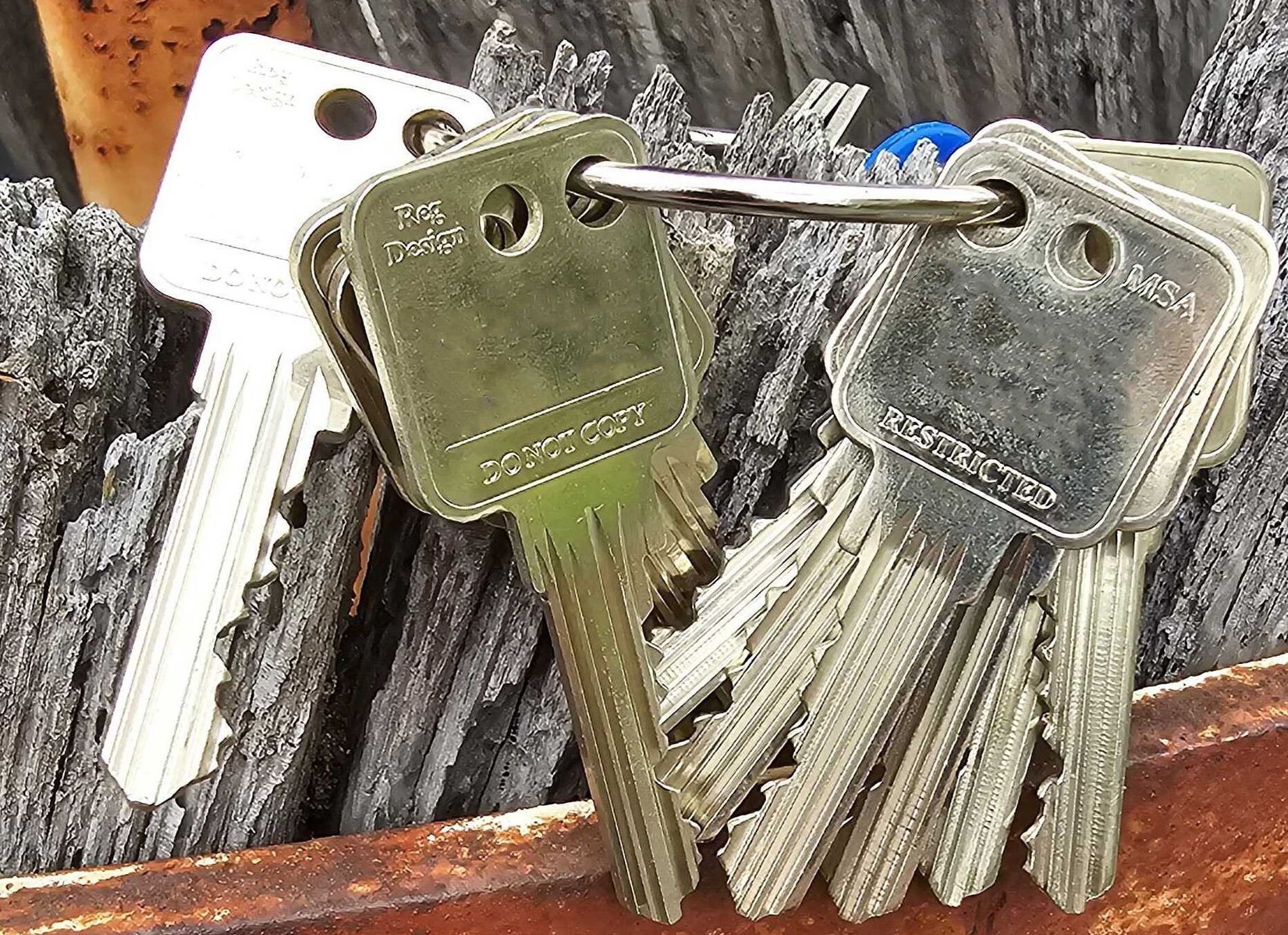 CEAC Treasure Hunt: Help the Caretaker Find His Lost Keys! - OurAuckland