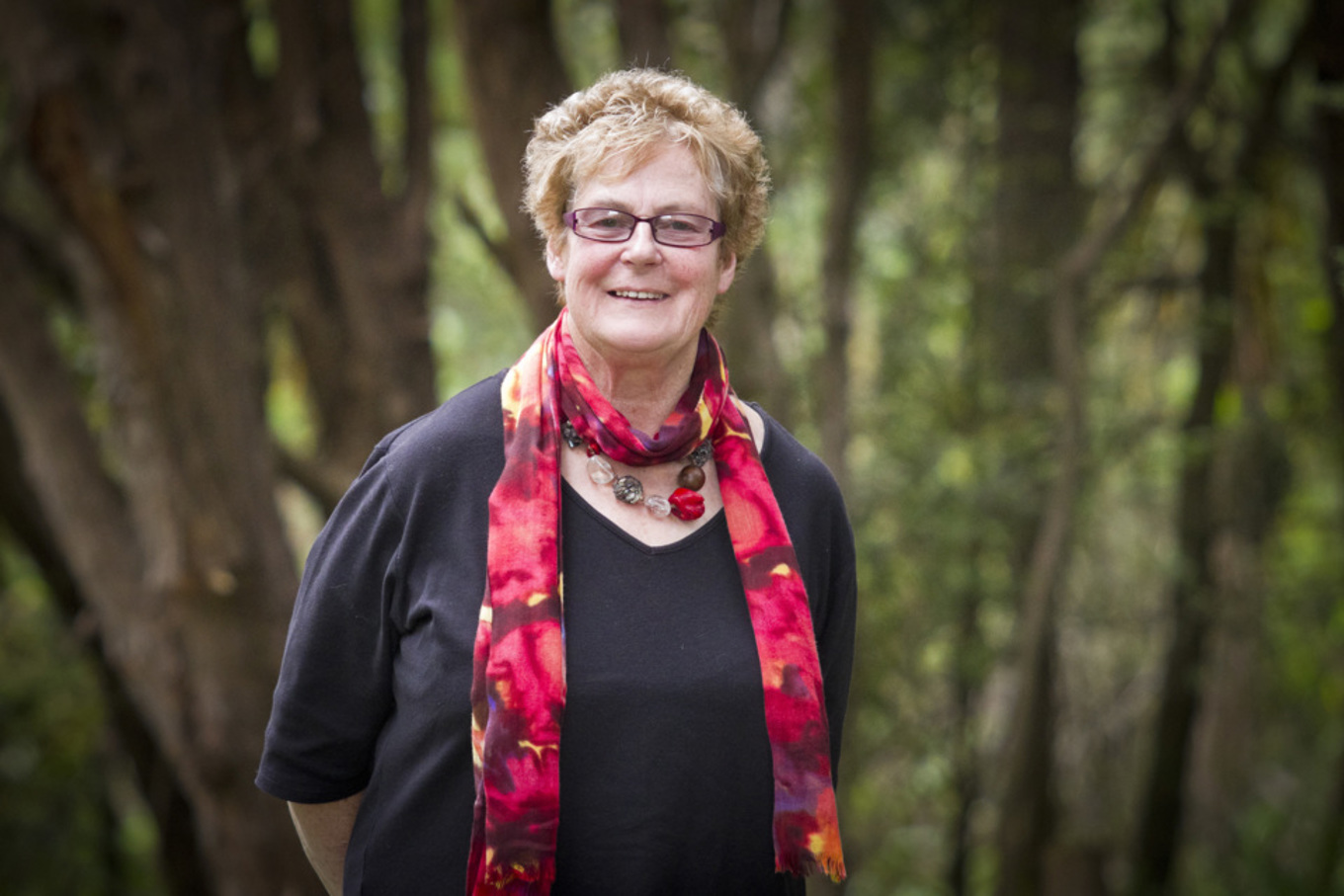 Tributes paid to west Auckland politician - OurAuckland