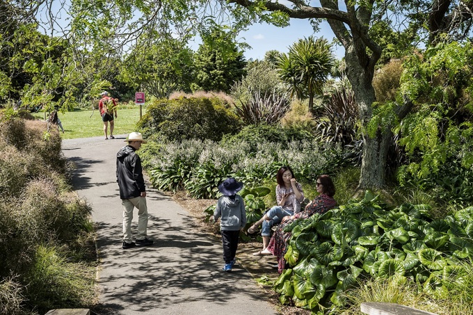 Great summer daytrips around Auckland - OurAuckland