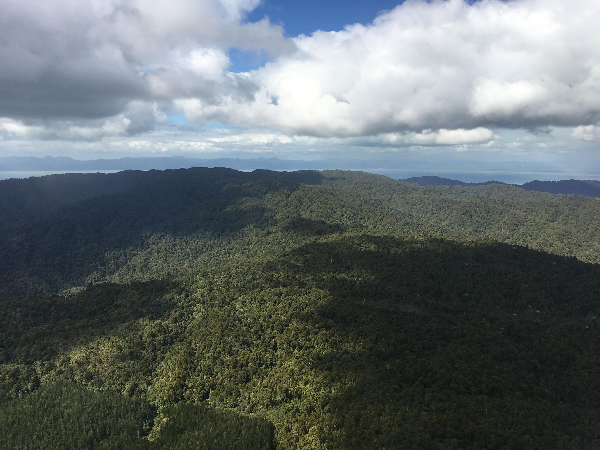 Hunua pest numbers at record low - OurAuckland