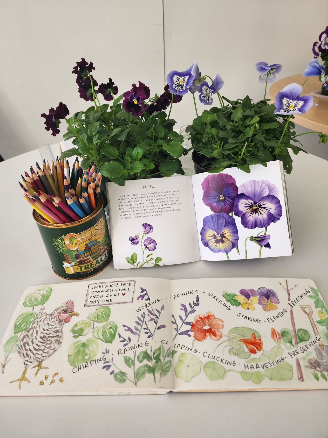 Botanical Art Classes - OurAuckland