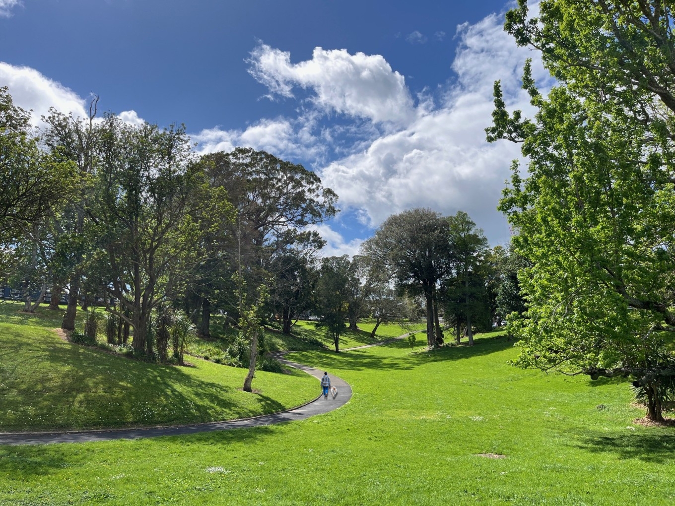 Ancestral name restored to Point Erin Park - OurAuckland