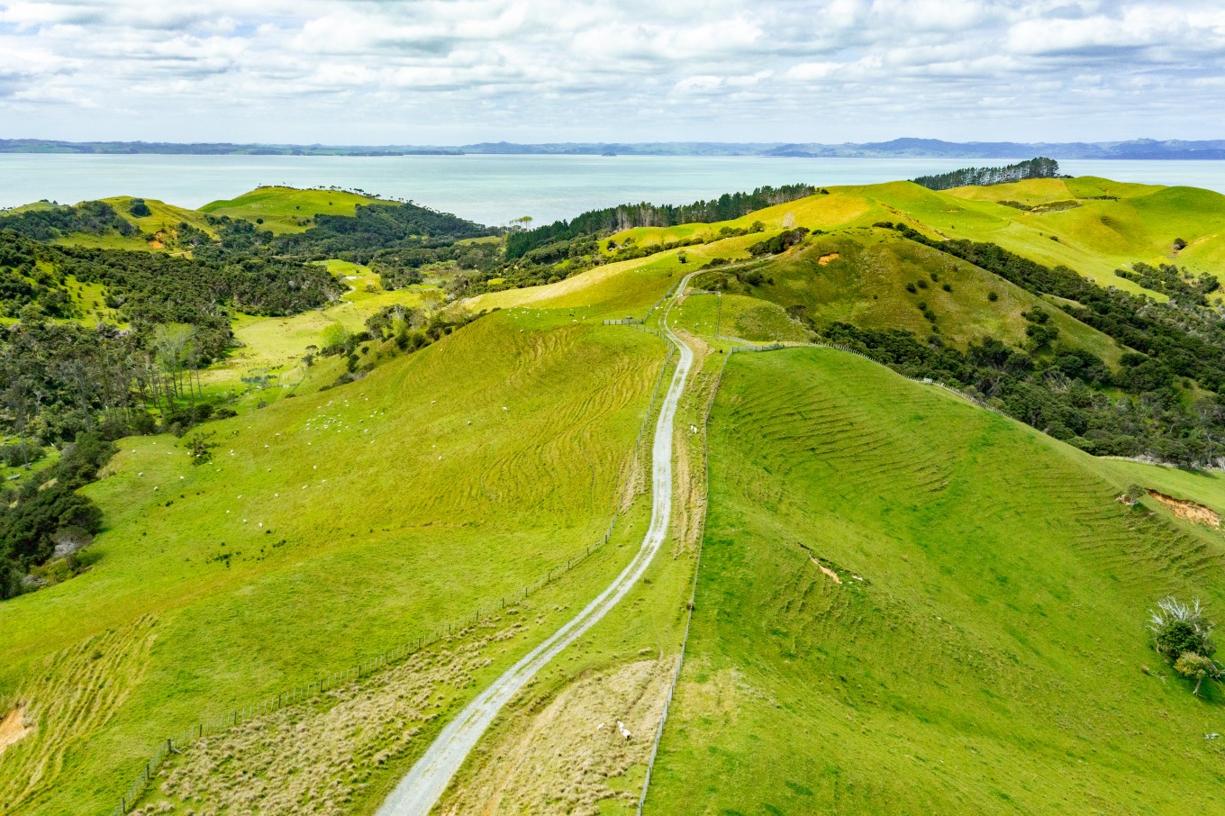 Explore the best summer spots at Auckland Regional Parks - OurAuckland