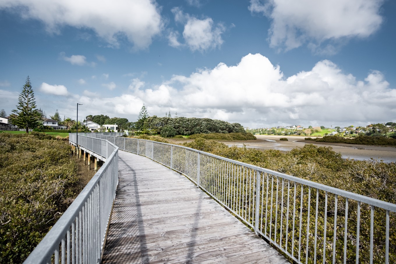 The best family-friendly bike rides in Auckland - OurAuckland
