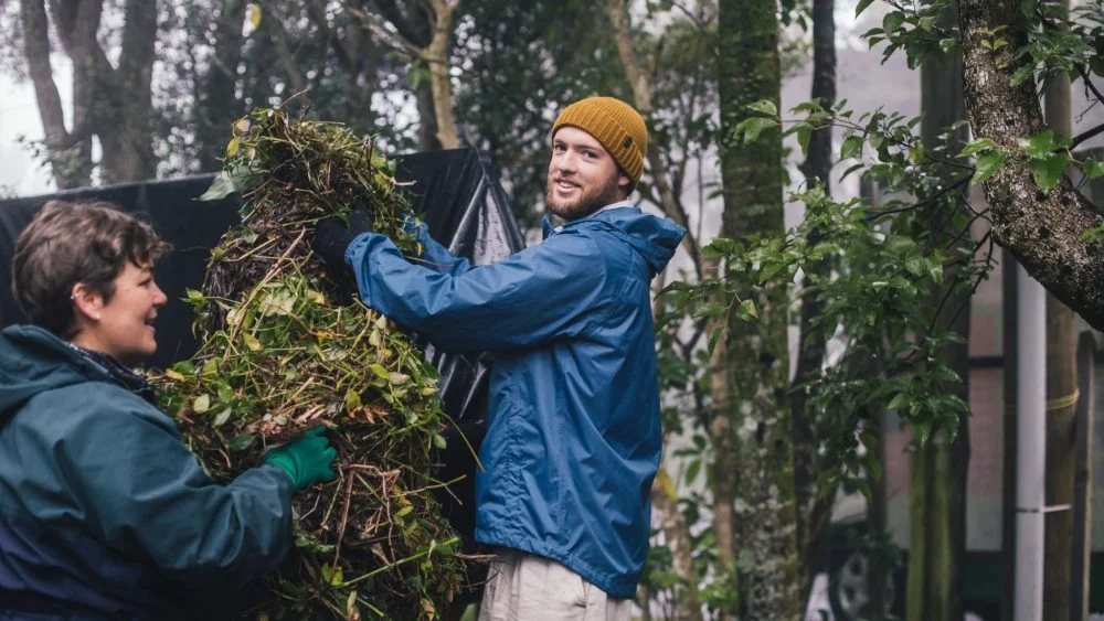 Glen Eden Weed Bin Weekend - OurAuckland
