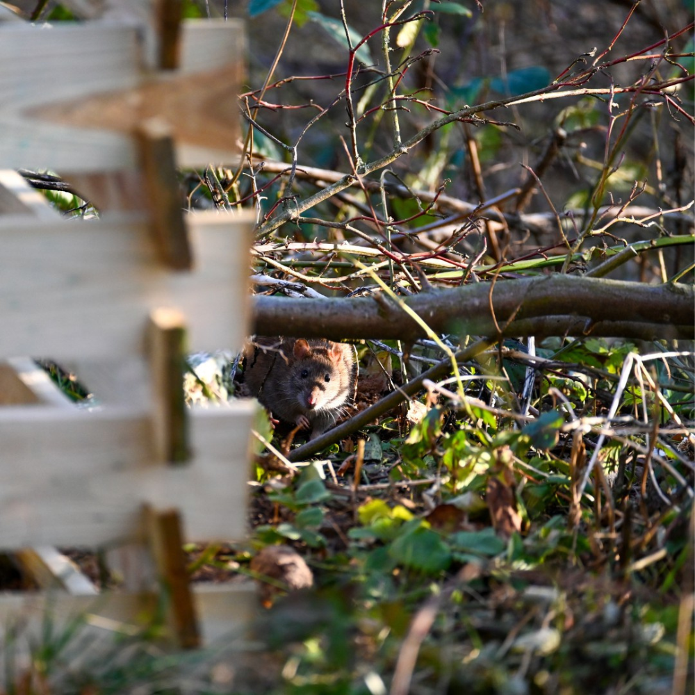 A park with purpose: flood protection and recreation to coexist at AF ...