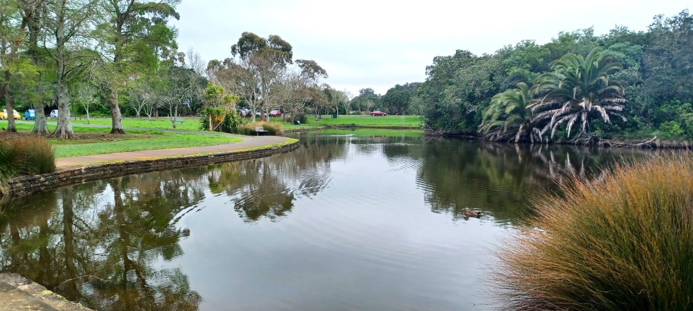 One-off algae treatment under way at Onepoto Lake - OurAuckland