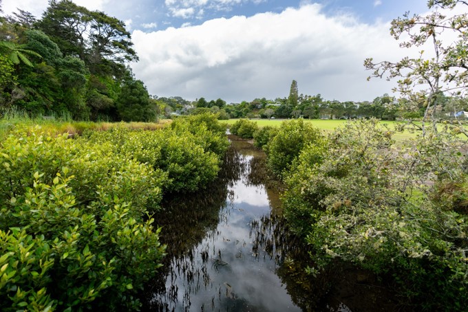 Supporting the environment for a greener future - OurAuckland