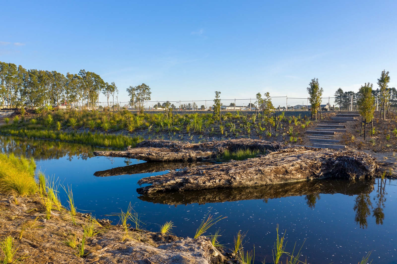 Awakeri Wetlands Stage One opens - OurAuckland