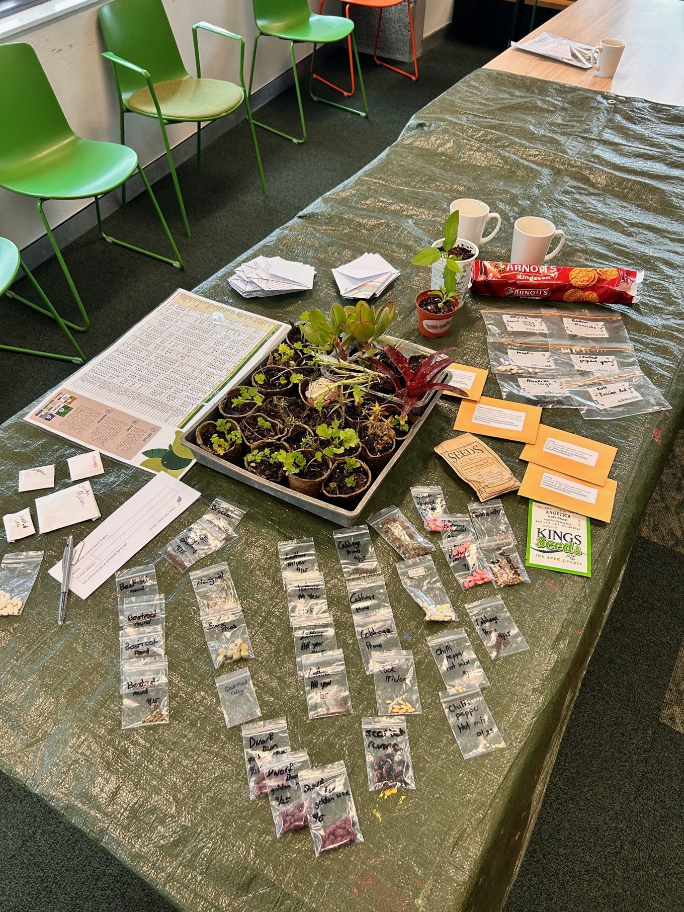 Rānui seed, seedling & produce swap - OurAuckland