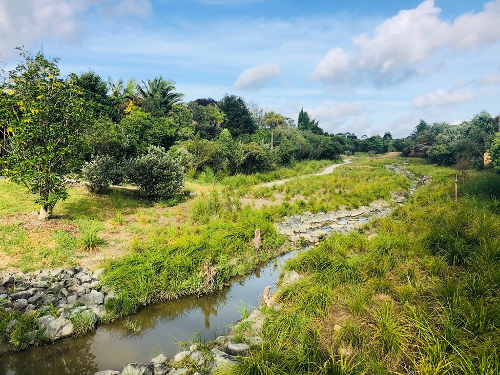 Stream restoration projects underway - OurAuckland