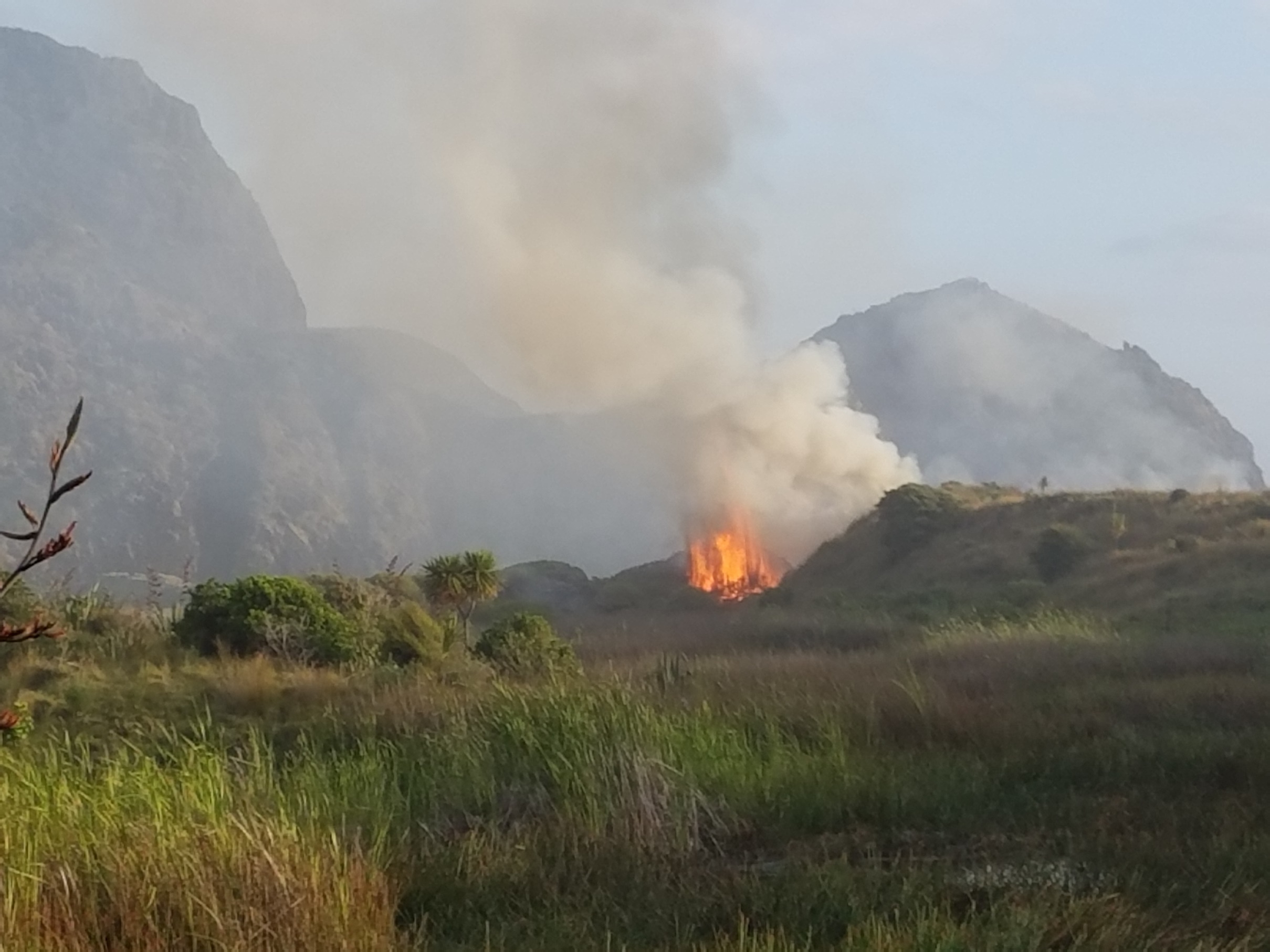 Karekare blaze highlights summer safety risk - OurAuckland