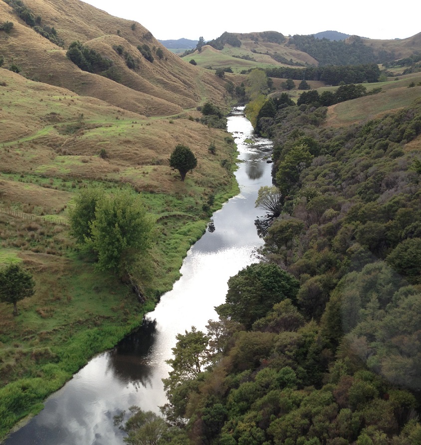 Cleaning up Aucklands waterways a metre at a time - OurAuckland