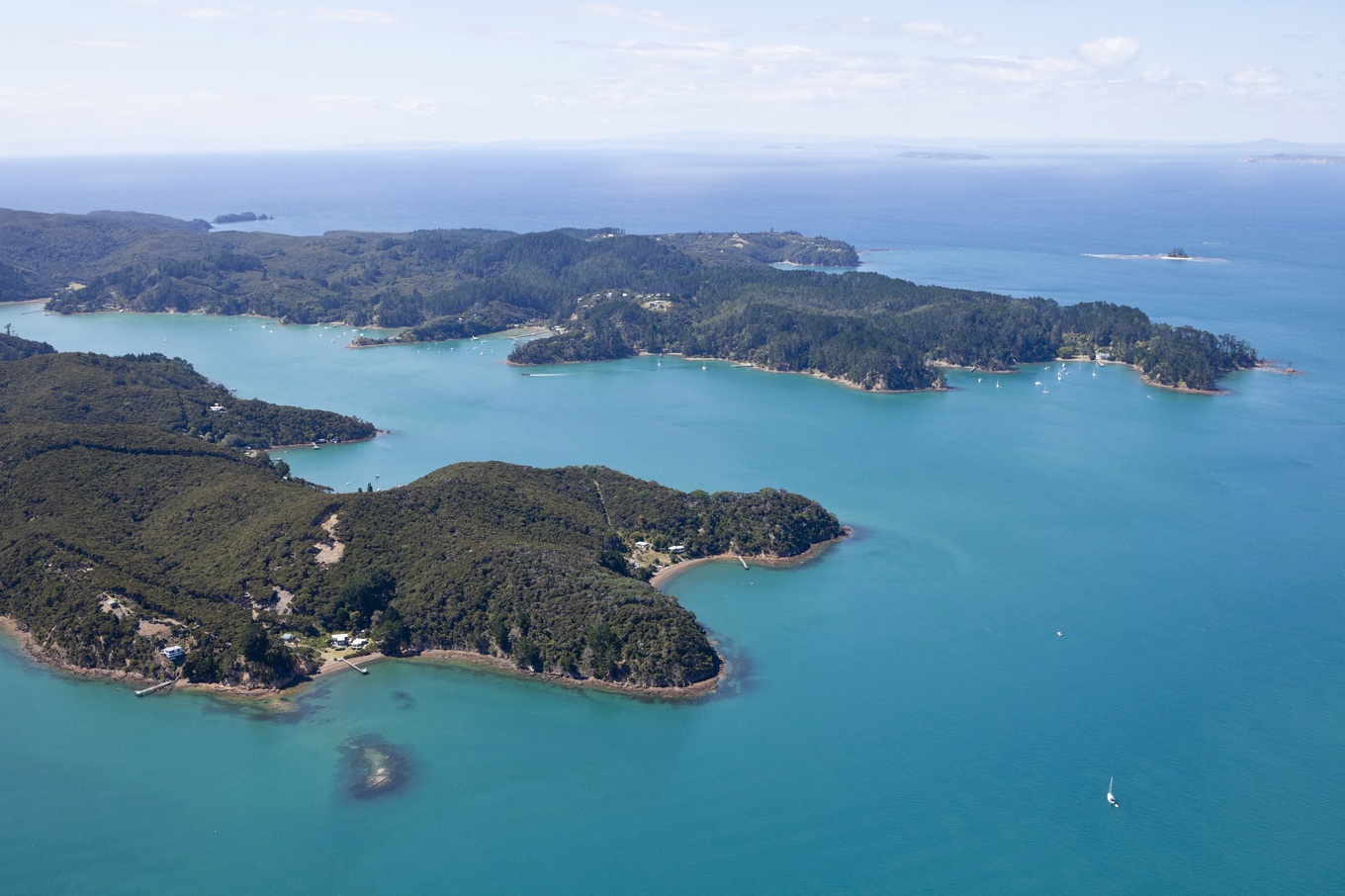 New Zealand Nature Fund supports Kawau Island restoration project ...