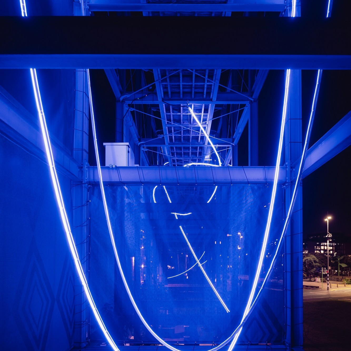 Whai shines 3D light on Māori string game at Silo Park - OurAuckland