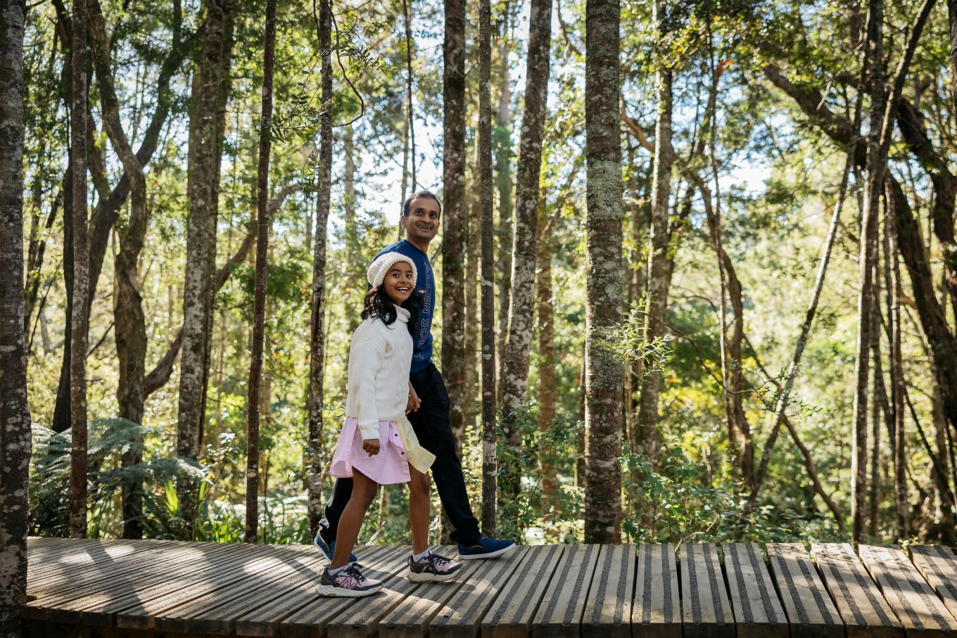 Auckland once again recognised as a Tree City of the World - OurAuckland