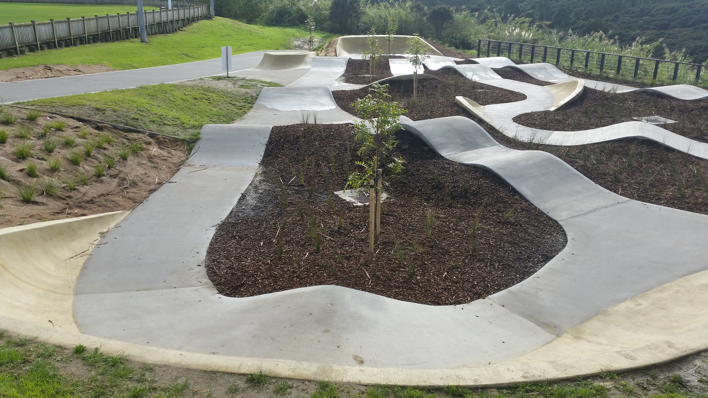 Playground review: Birkenhead War Memorial Park - OurAuckland