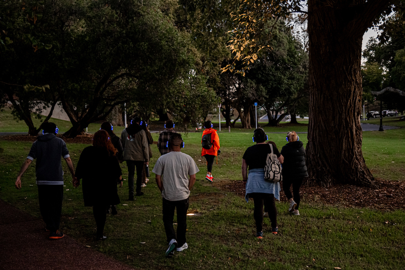 Immersive Nature Escape Walk - OurAuckland