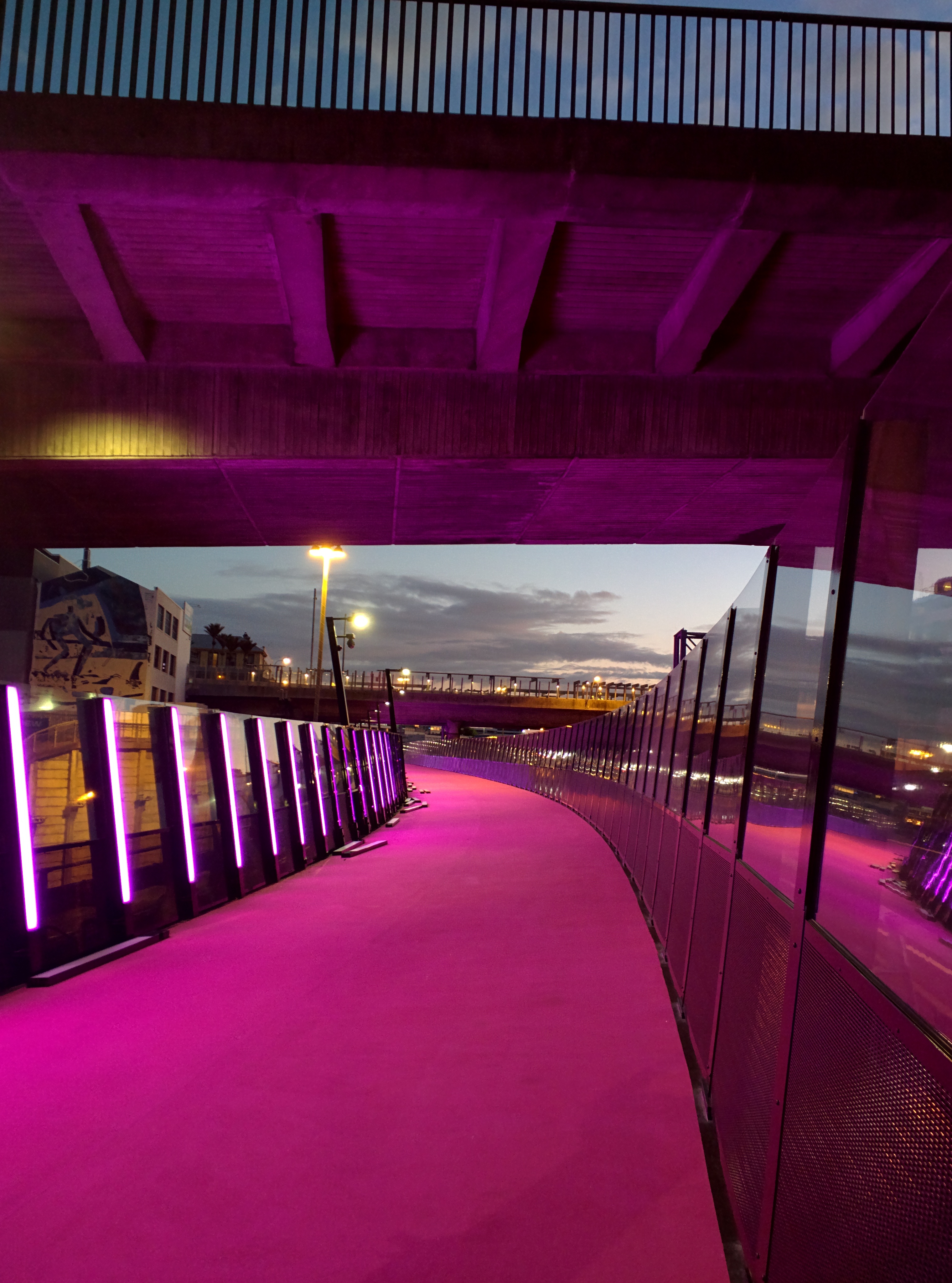 Behind the Scenes at Auckland’s Lightpath - OurAuckland