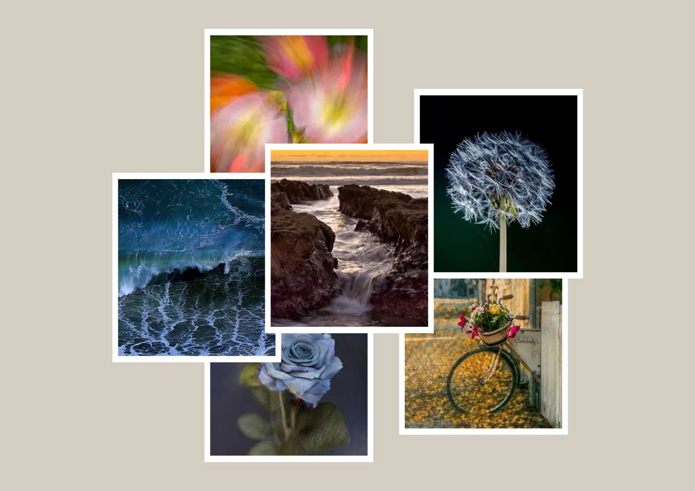 Photography workshop - OurAuckland