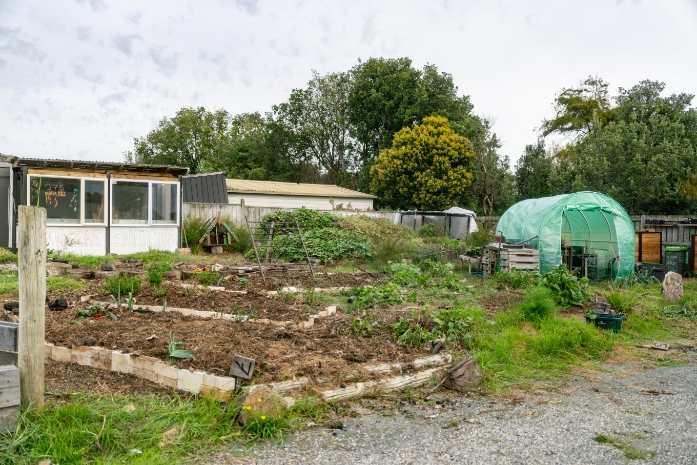 5 ways Māngere Community Enviro Hub is helping the community grow ...