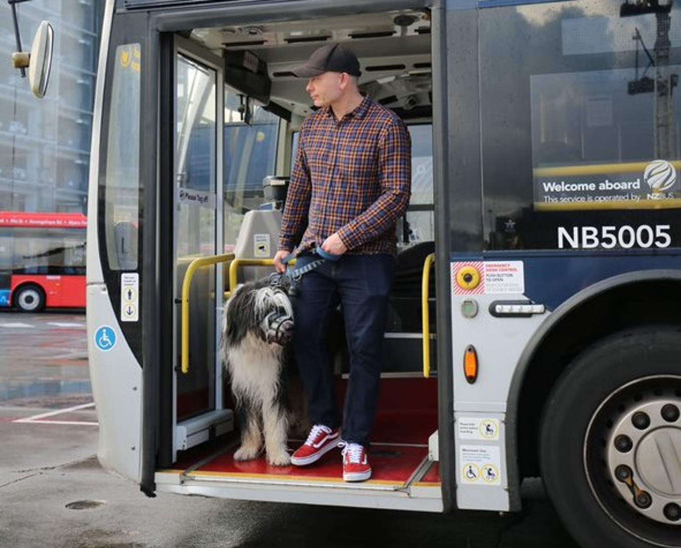 Pawsitive news – Large dogs now welcome on Auckland’s buses - OurAuckland