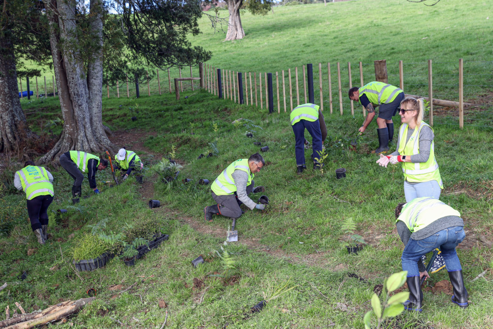 Mission launched to save Papakura Stream - OurAuckland
