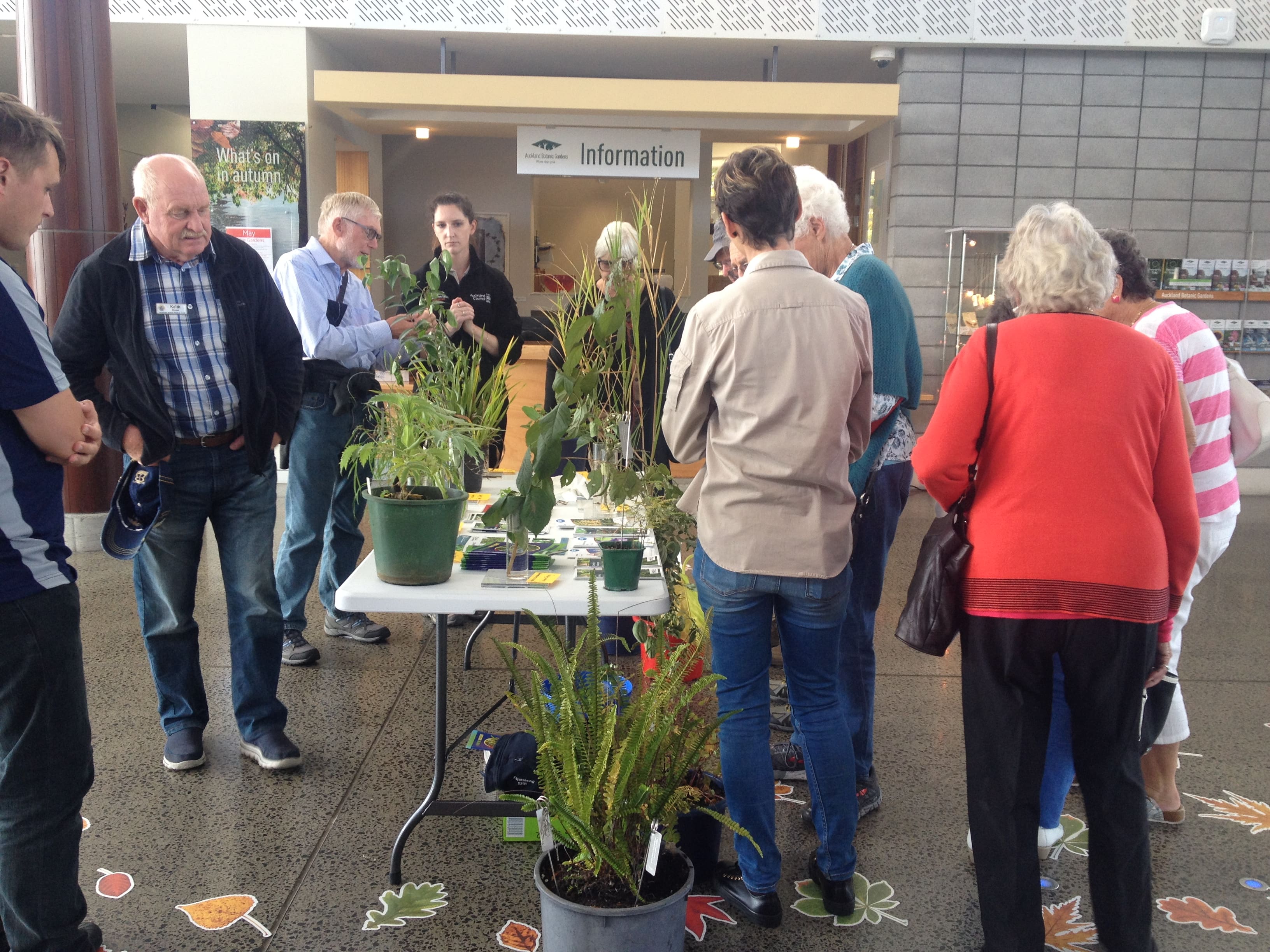 Ask an expert: pest plant edition - OurAuckland
