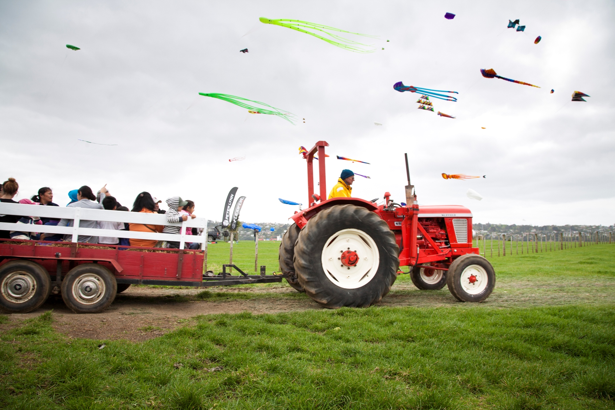 The story of Ambury Farm Day - OurAuckland