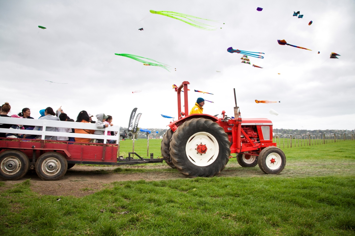 The story of Ambury Farm Day - OurAuckland