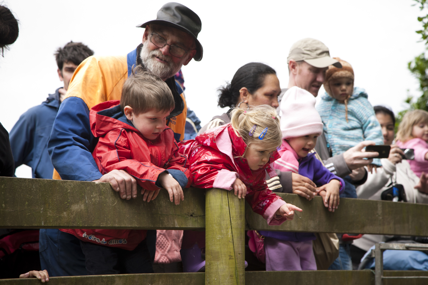 Have your say on how we manage Auckland's regional parks - OurAuckland