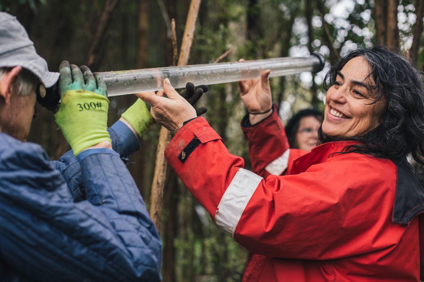 Eight priority projects leading Waitākere Ranges’ environment work ...