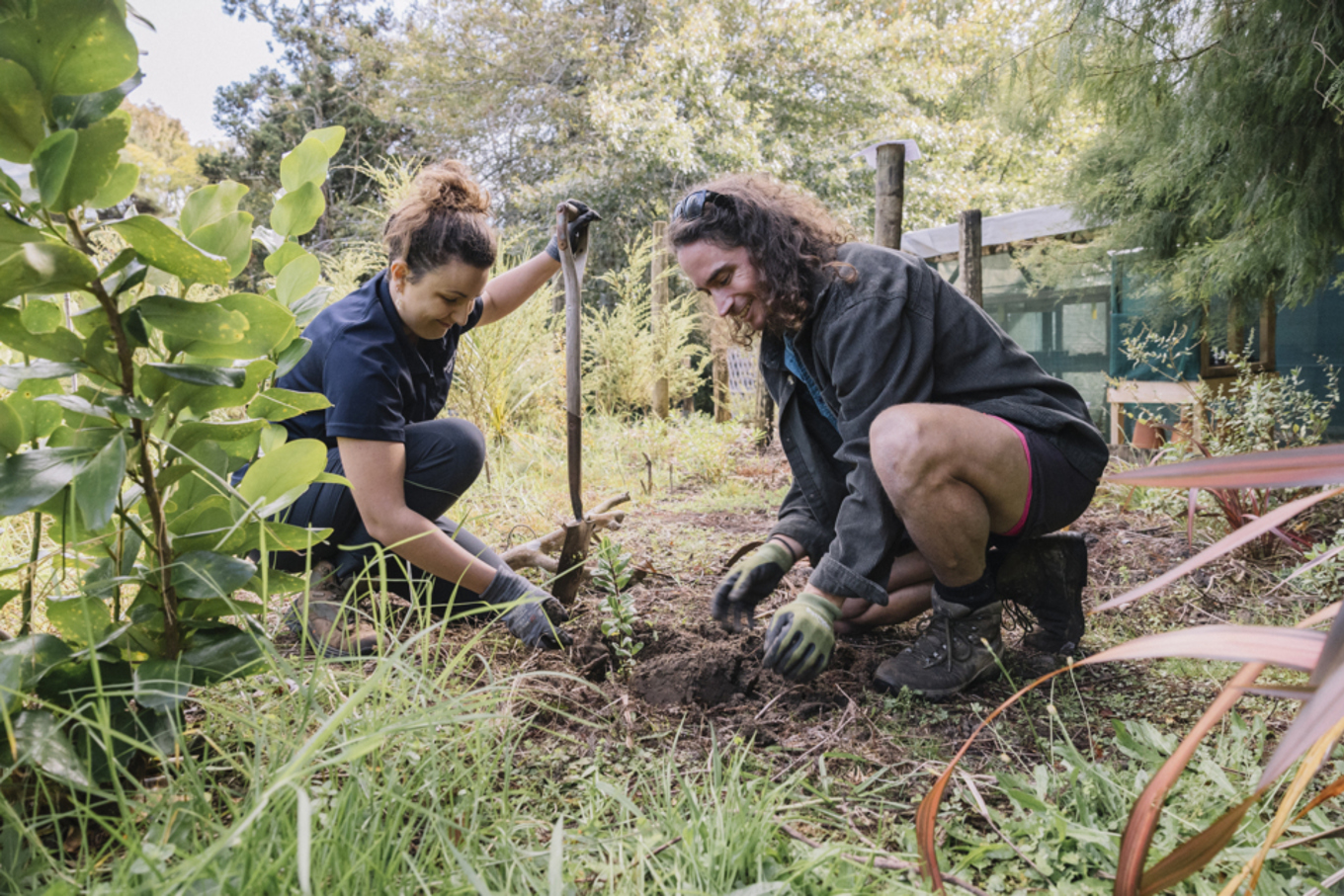 Aucklanders’ targeted rates working for our region - OurAuckland