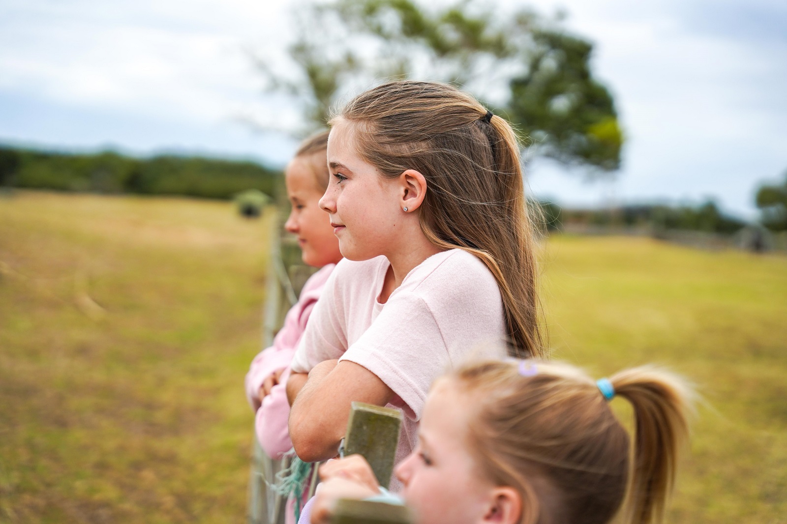 Spring into the weekend as Auckland blooms - OurAuckland