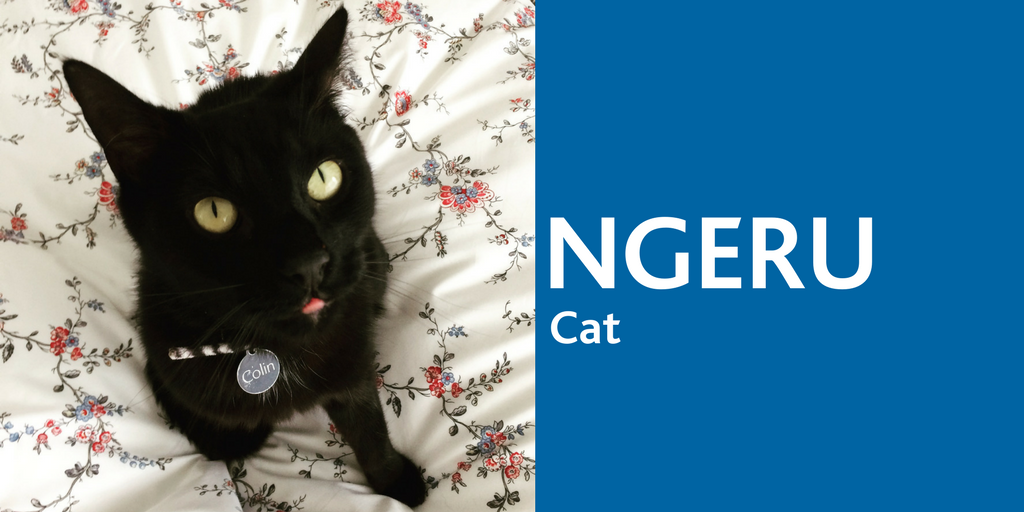 Te kupu o te wiki – Word of the week - OurAuckland