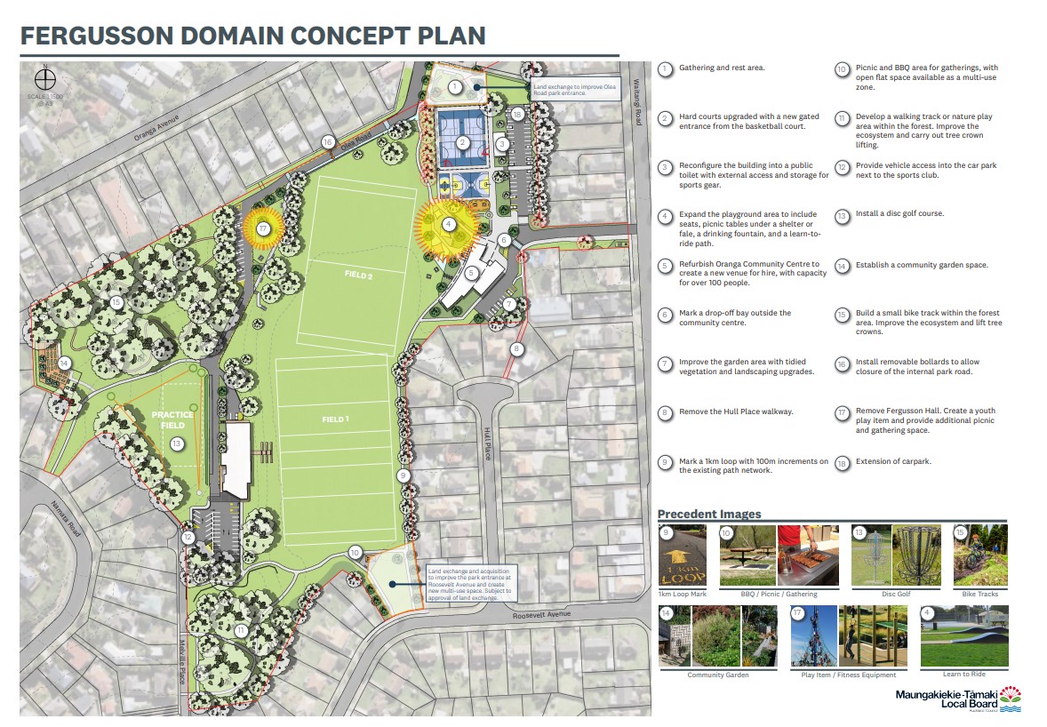 Fantastic Fergusson Domain upgrades on the way - OurAuckland