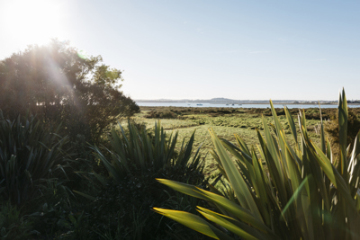 Onehunga Christmas in the Park - OurAuckland