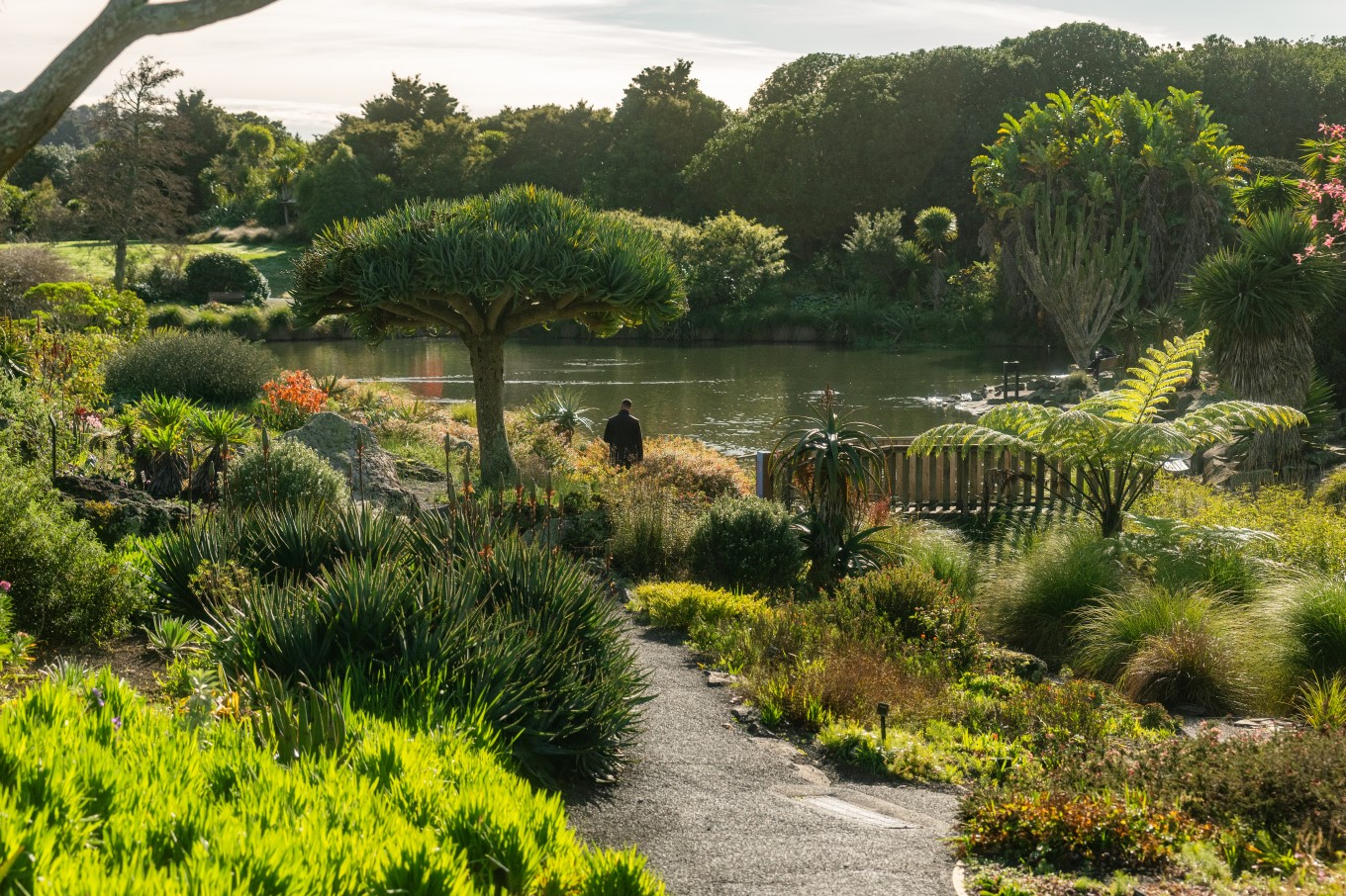 Winter gardening tips from the pros at Auckland Botanic Gardens ...