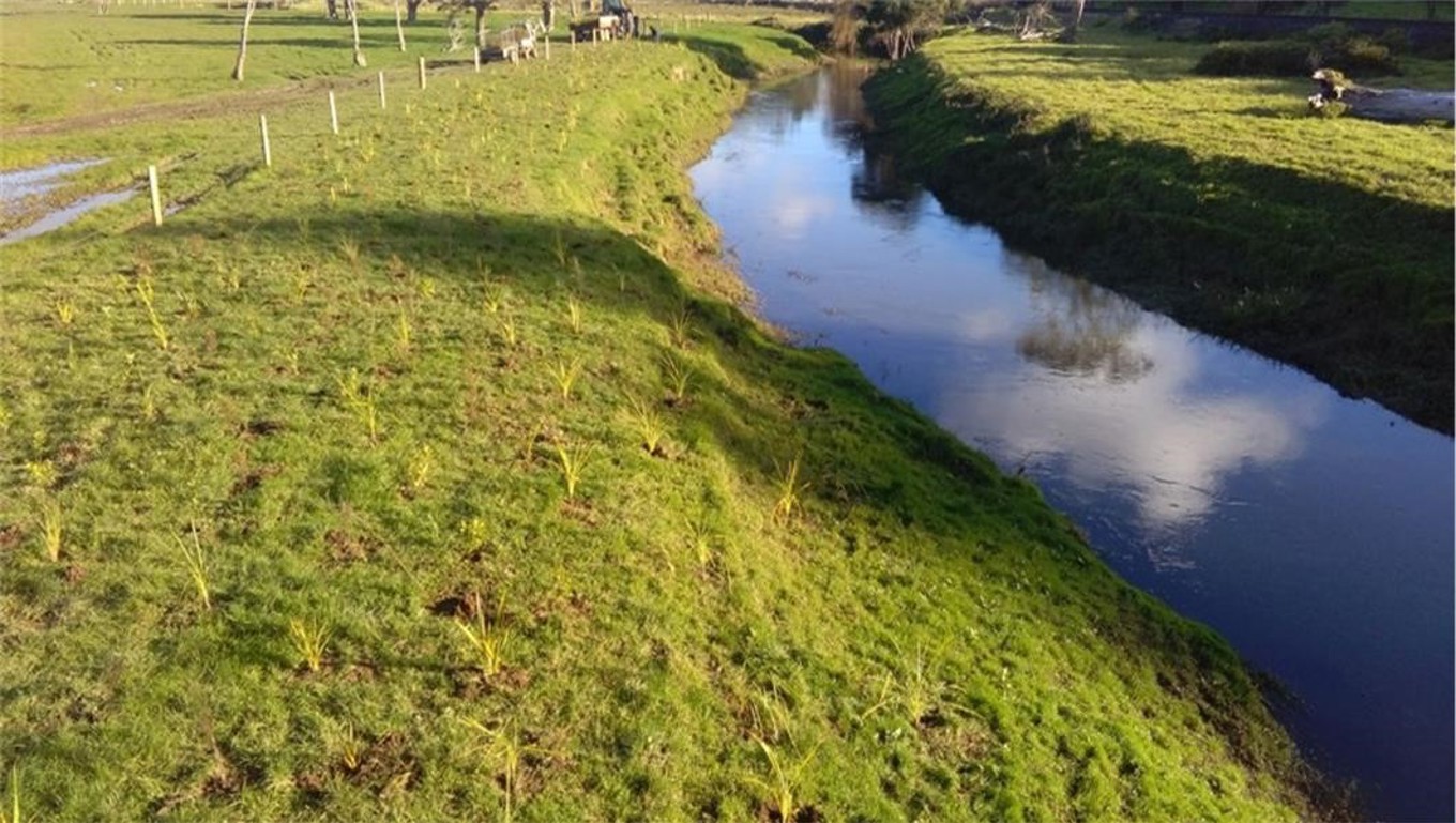 Waterways Protection Fund extended - OurAuckland