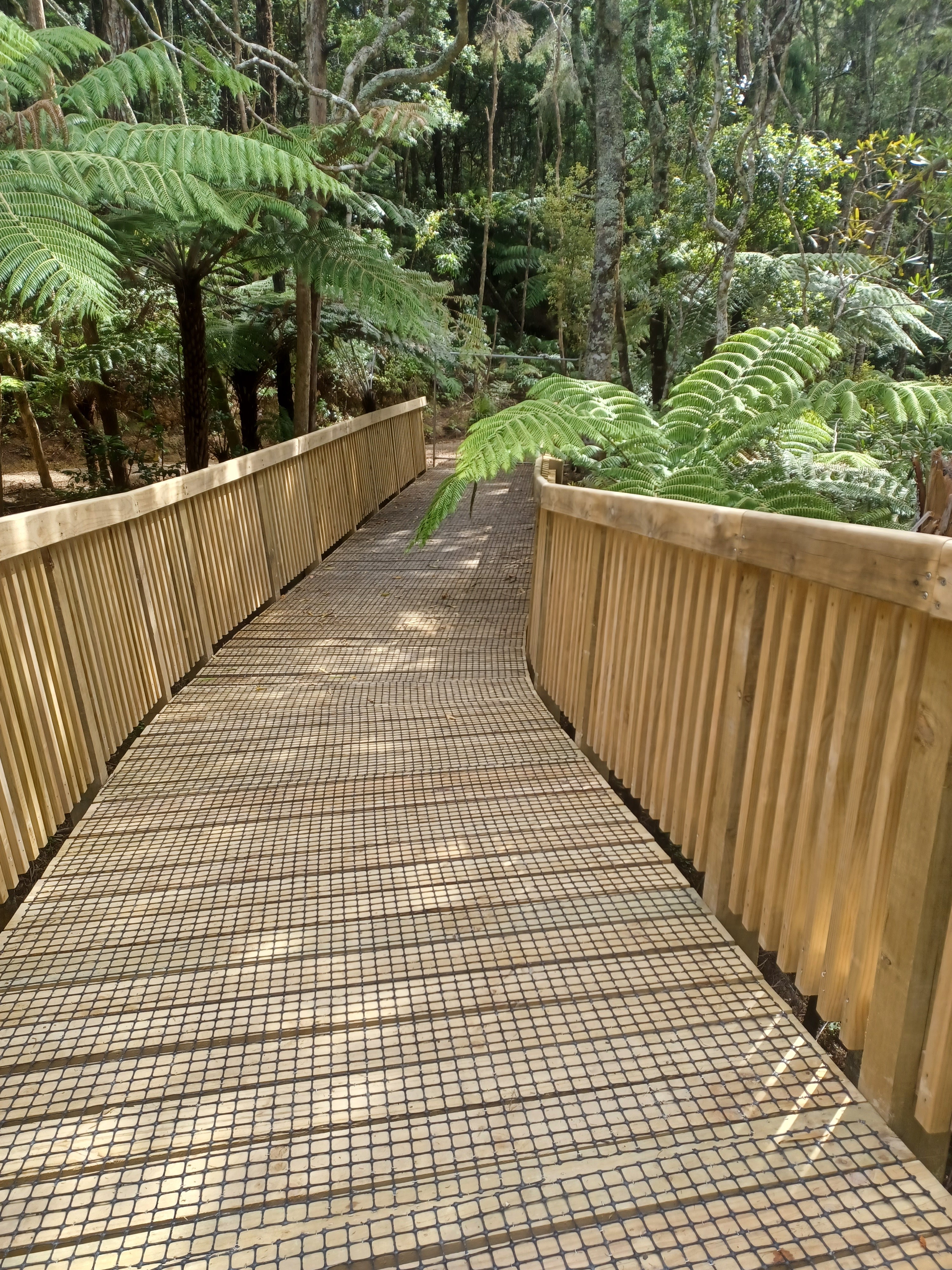 New playgrounds and walkways: ten projects highlight investment in ...