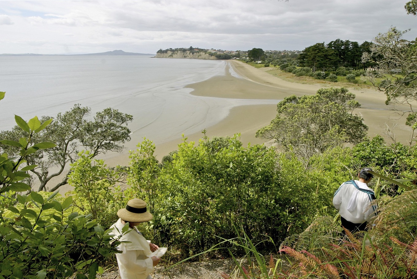 Great walks around Auckland - OurAuckland