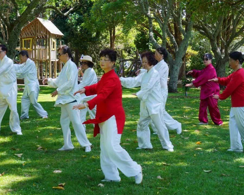 Mt Albert Library - OurAuckland