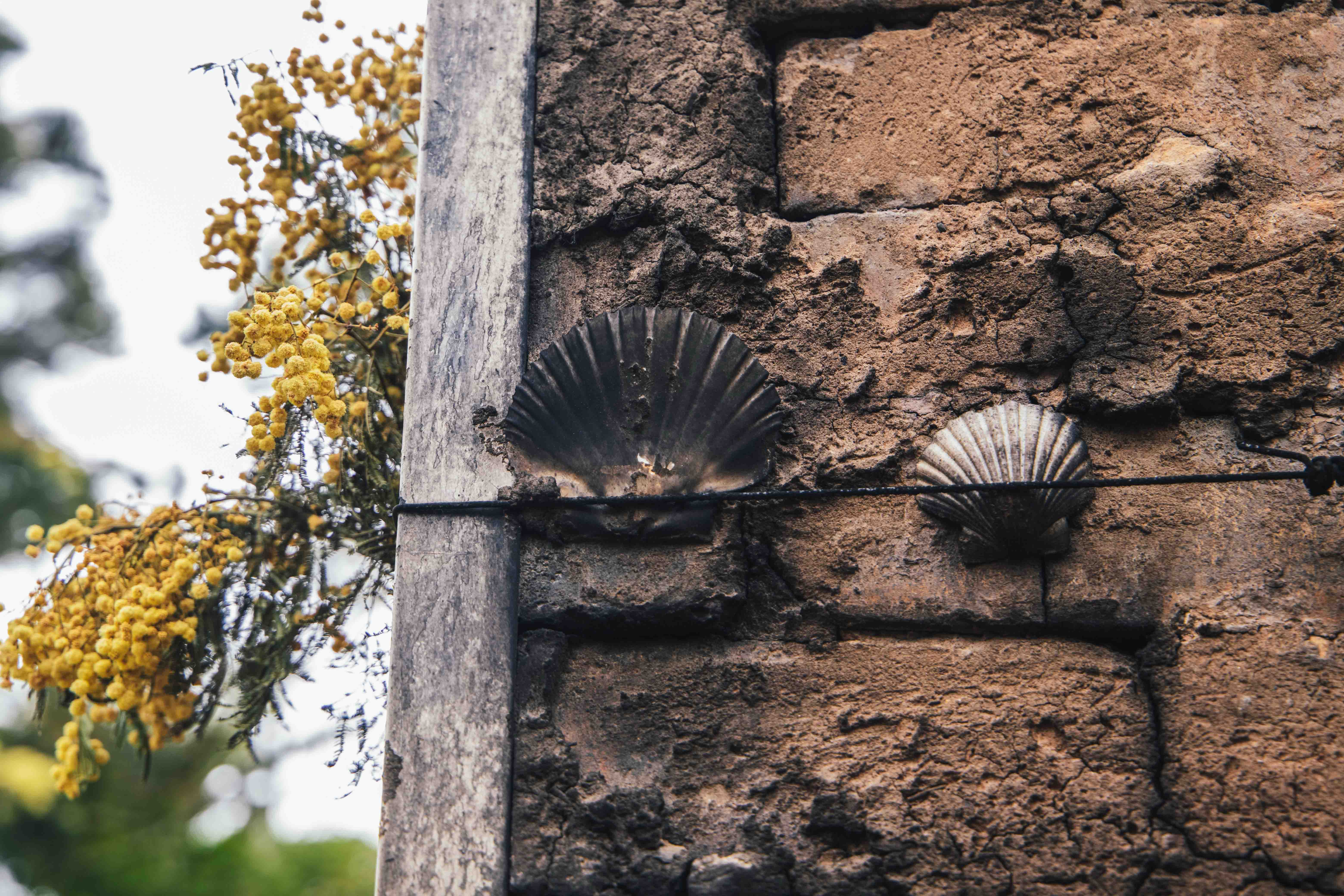 Pottering away in Whau this summer - OurAuckland