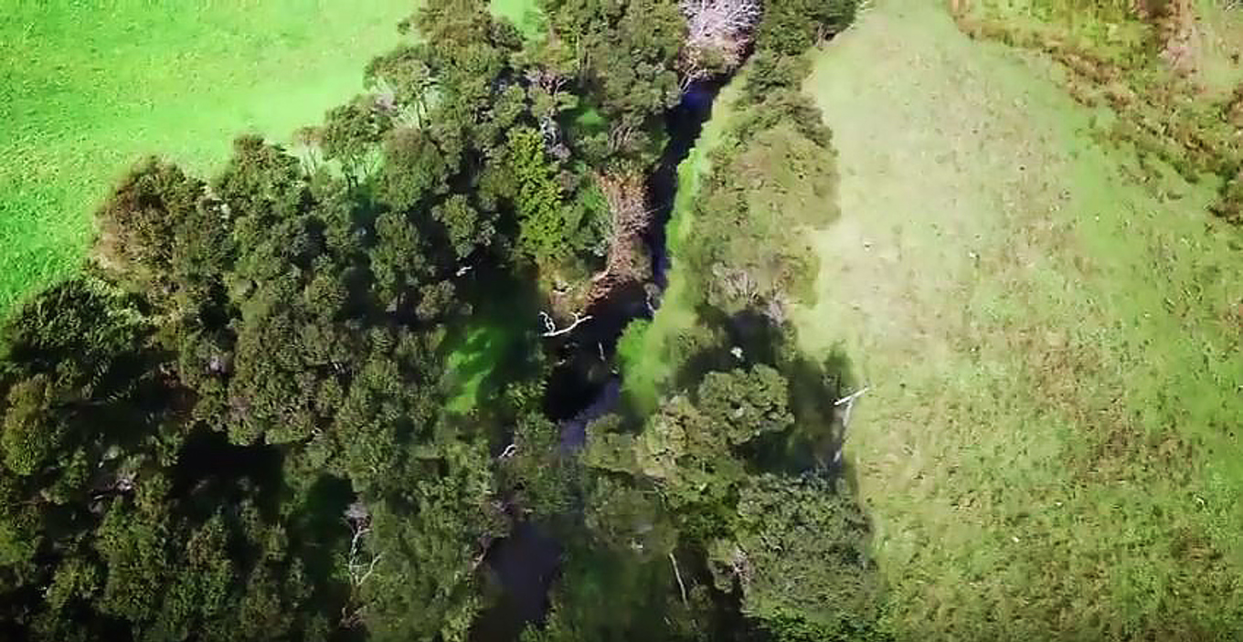 How do we put freshwater first? - OurAuckland