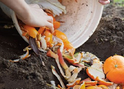 What if I can’t pay my rates? - OurAuckland