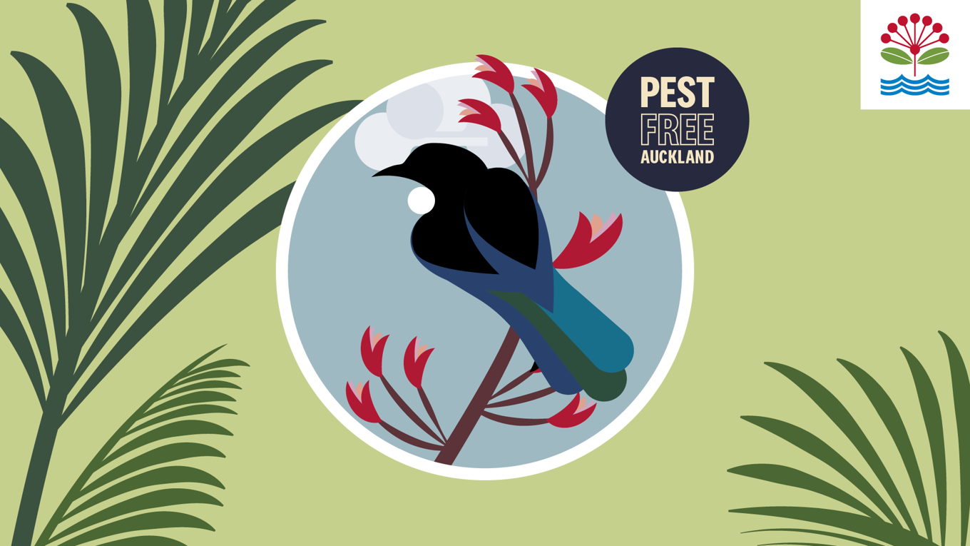 What is Pest Free Auckland? - OurAuckland